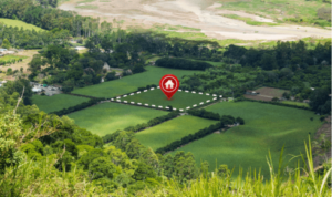 Why Level Best Grading Matters for Land Development Success - Riddle Post